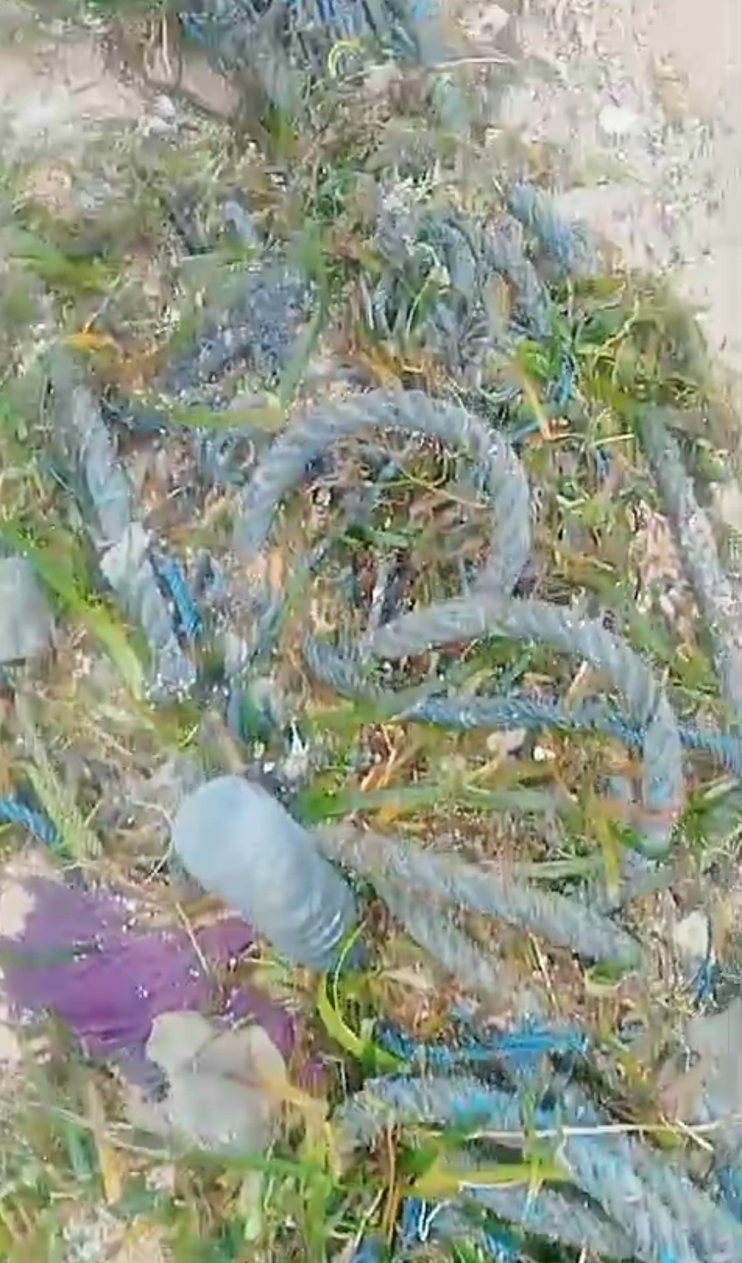 Rumput Laut Nelayan Tablolong Luluhlantak Diterjang Gelombang Laut ...